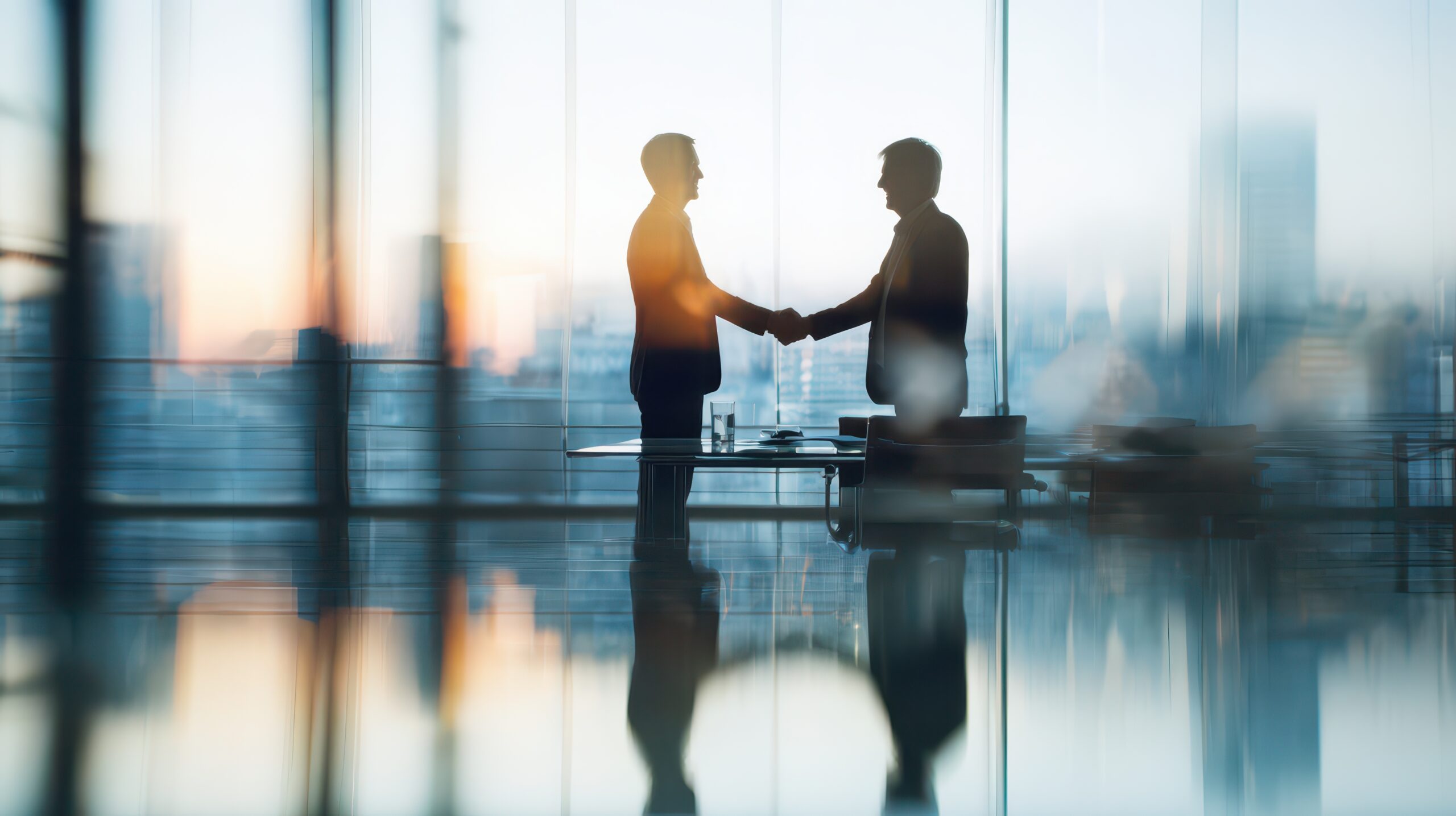 SAP Carve-Outs: An Analysis of Selective Company Separation - adesso ...
